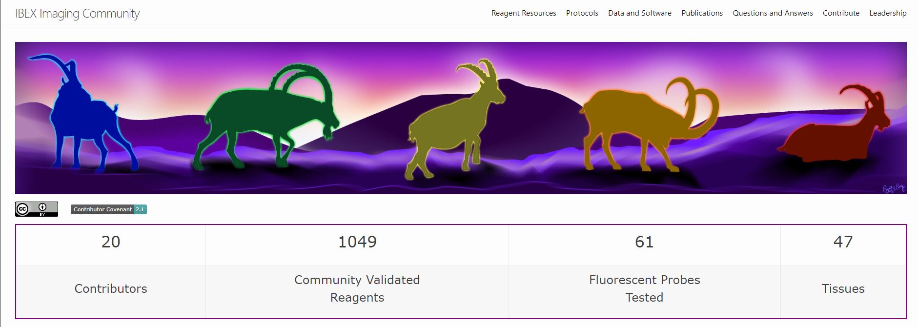 IBEX Knowledge-Base: A Data Resource for Multiplex Tissue Imaging